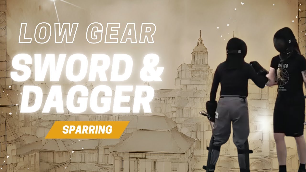 Bolognese sword & dagger sparring in low gear : Tim vs Aurel - HEMAC ...