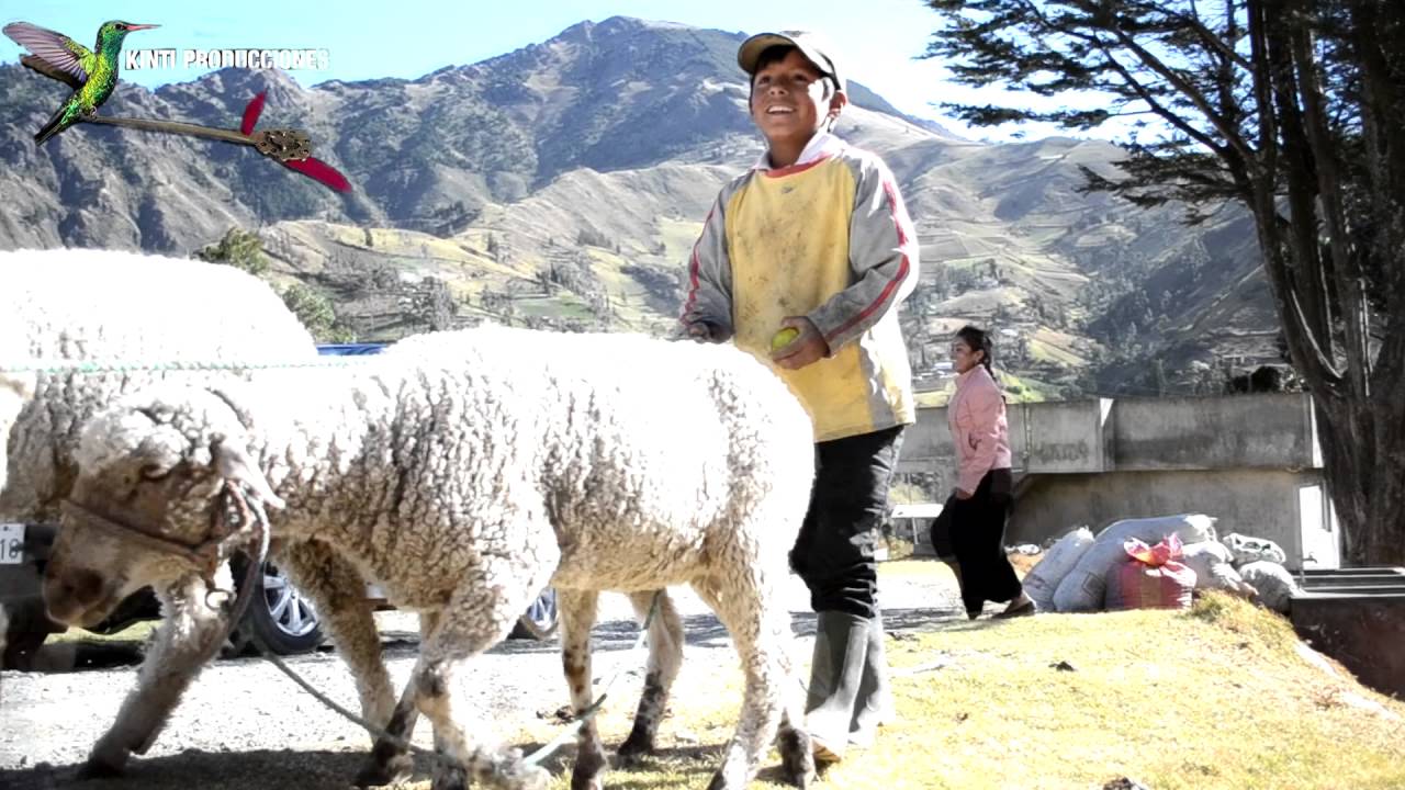 Identidad del Pueblo Waranka - YouTube