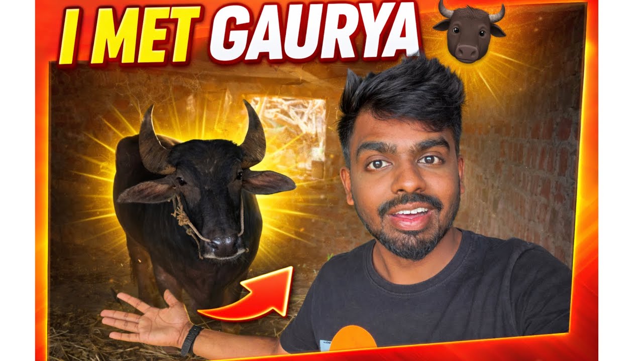 FINALLY I MET GAURYA 🐃🐃|| Keep supporting || - YouTube