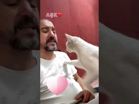 Aşk Zeus 🥰