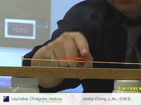 Acupuncture Continuing Education with Dr. Jimmy Chang - YouTube
