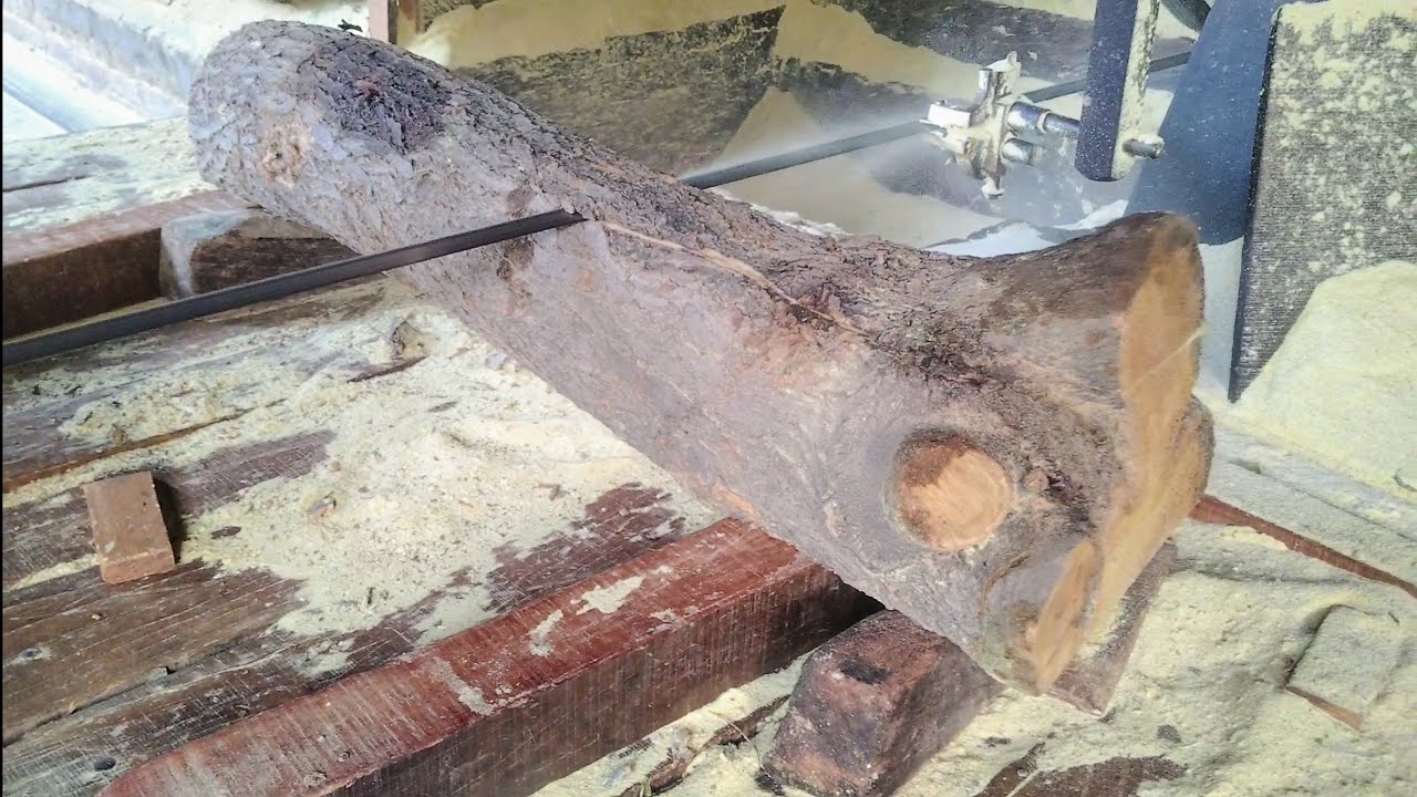 Fastest Way to Cut Log on Sawmill Trolley | Wood Cutting Skills | Wood ...