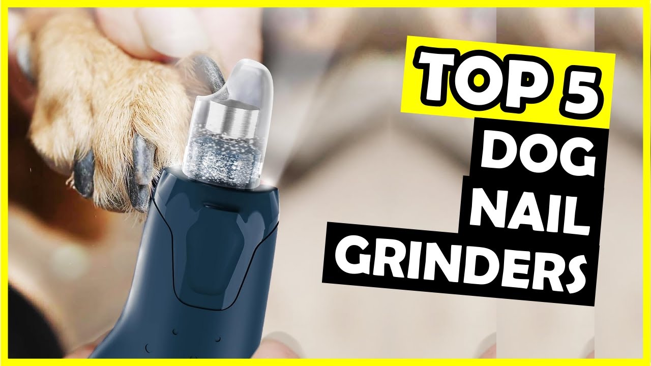 TOP 5: Best Dog Nail Grinder of 2025 - YouTube