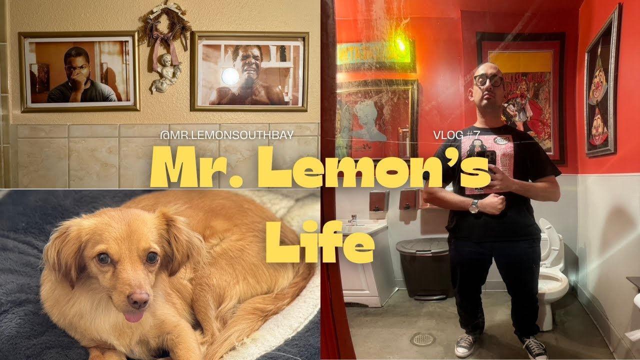 Mr Lemon's Life #7 - Run / Chest / Abs / Be appreciative of the little ...