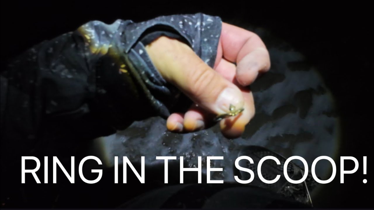 Metal Detecting ! RINGS IN THE SCOOP! - YouTube