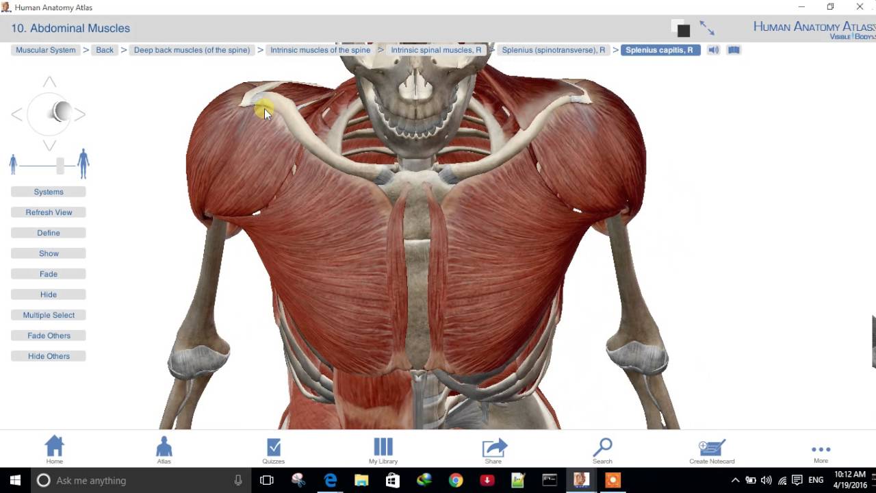 human-anatomy-atlas-app-youtube