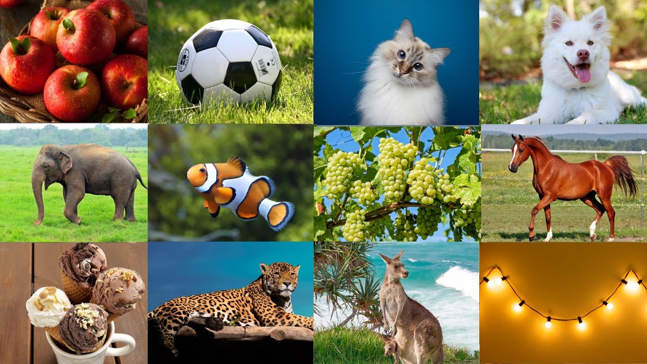 Learn the Alphabet, Letters, Phonics ABC Song 4 Toddler & Kids| Learn ...