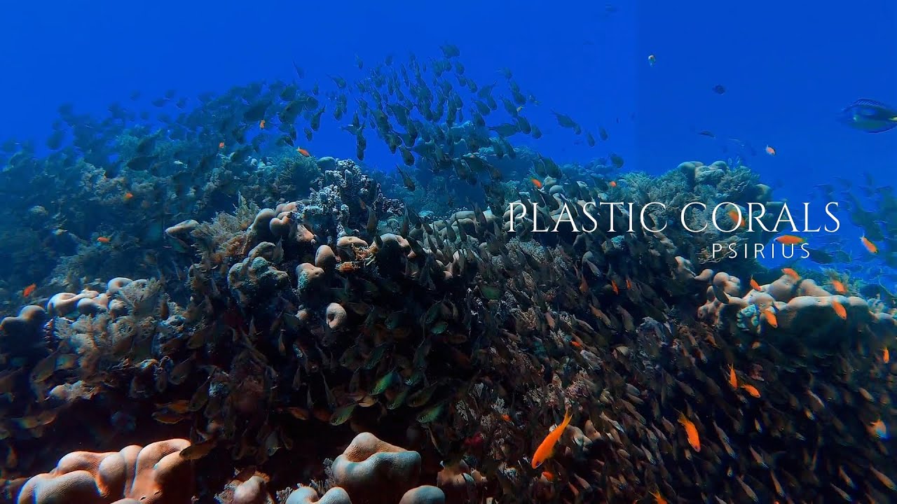 Psirius - Plastic Corals - YouTube