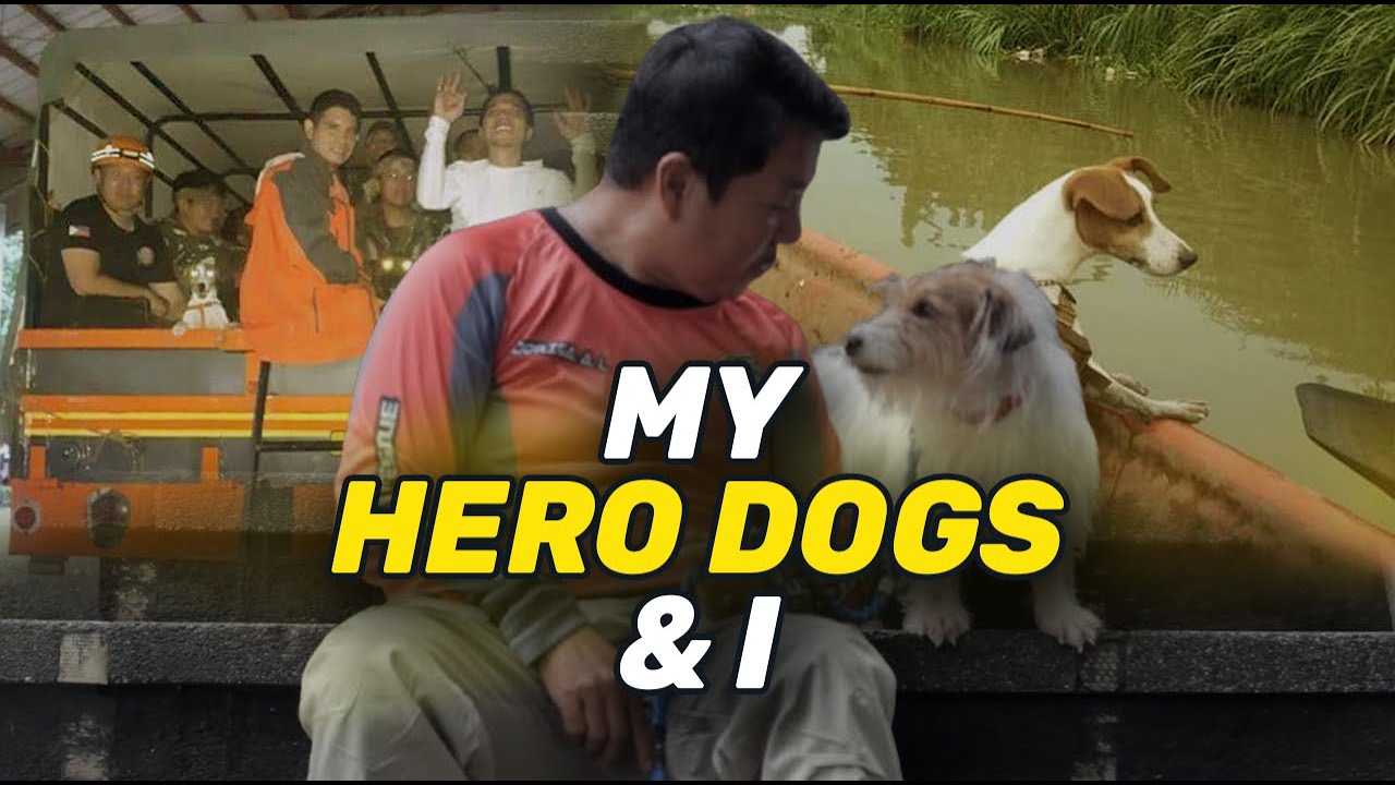My Hero Dogs and I: K9 Search and Rescue Journey | Paggunita sa Aking ...