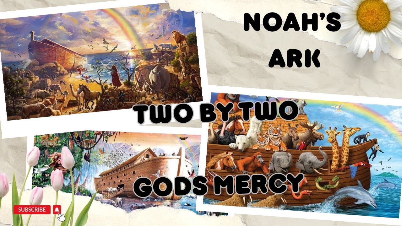 Noah’s Ark (Bible stories) Genesis - 6:5-9:17 - YouTube