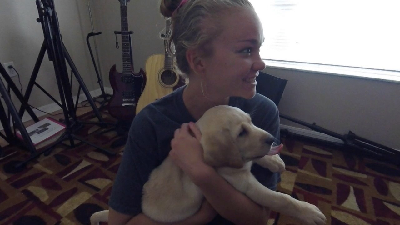 Goodbye Sam - YouTube