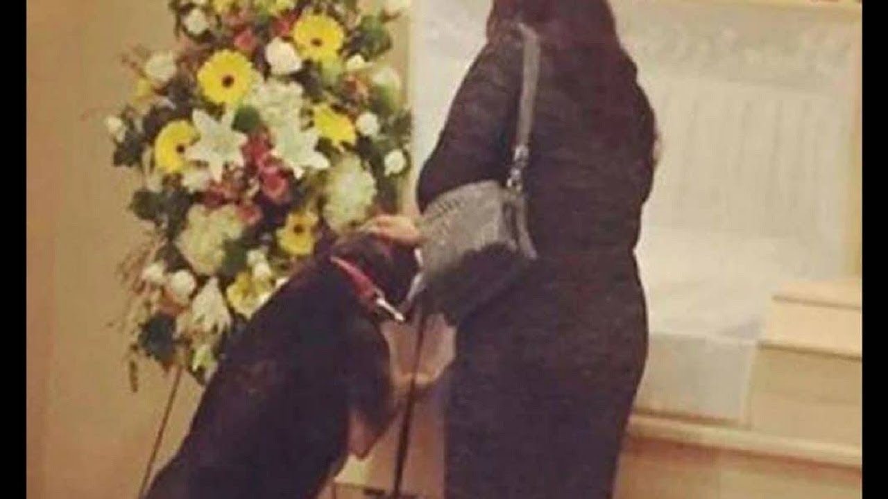 Grieving Dog Attends Owner’s Funeral, Leaves Whole Room In Tears After ...