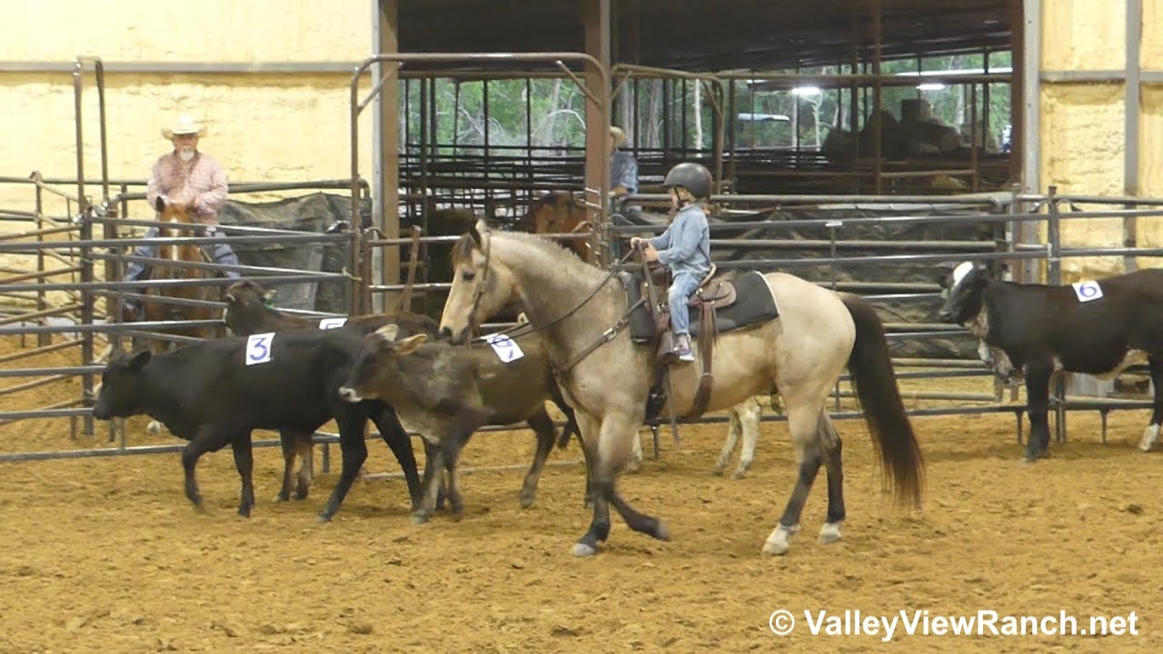 Blue Drift Bucky - little cowboy sorting! - ValleyViewRanch.net - YouTube
