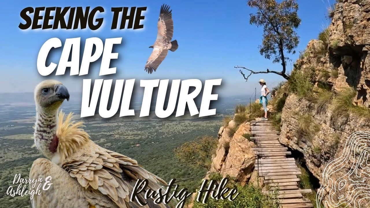 The Rustig Hike | Magaliesberg biosphere reserve - YouTube