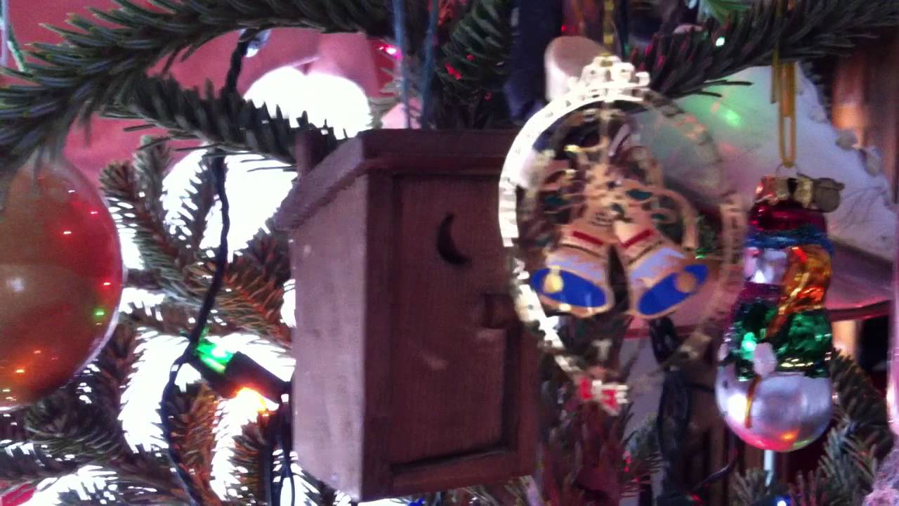 Bongo Tree - YouTube