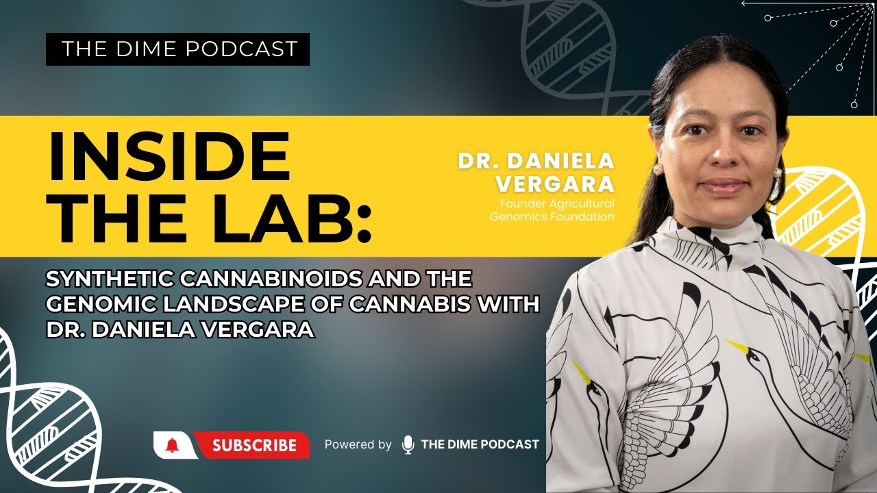 Inside the Lab Synthetic Cannabinoids and the Genomic Landscape of Cannabis with Dr. Daniela ...