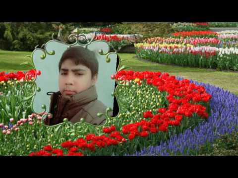 Da Dari morchal songs 2016