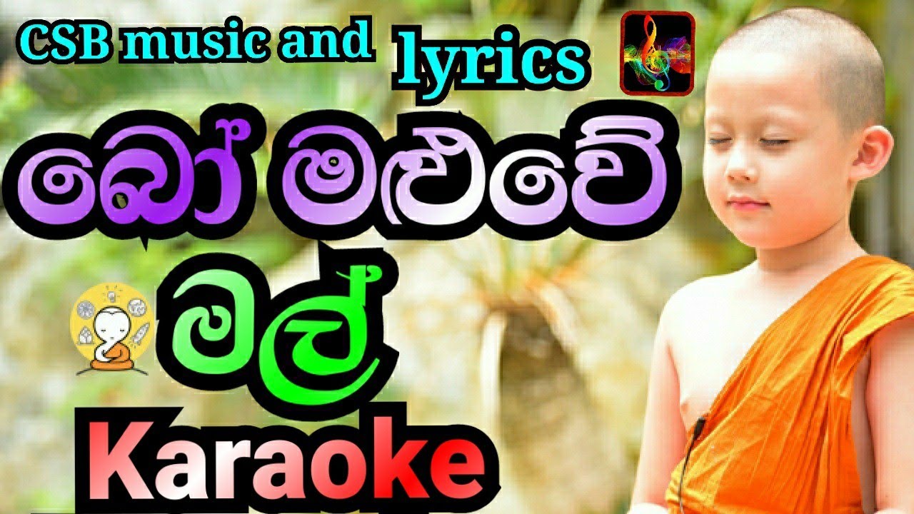 Bo Maluwe Mal Karaoke(Without Voice)|බෝ මළුවේ මල් Karaoke|CSB Music And ...