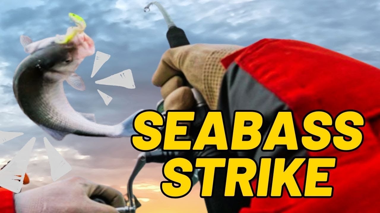 The Samson Lures That Changed Sea Bass Fishing Forever - YouTube