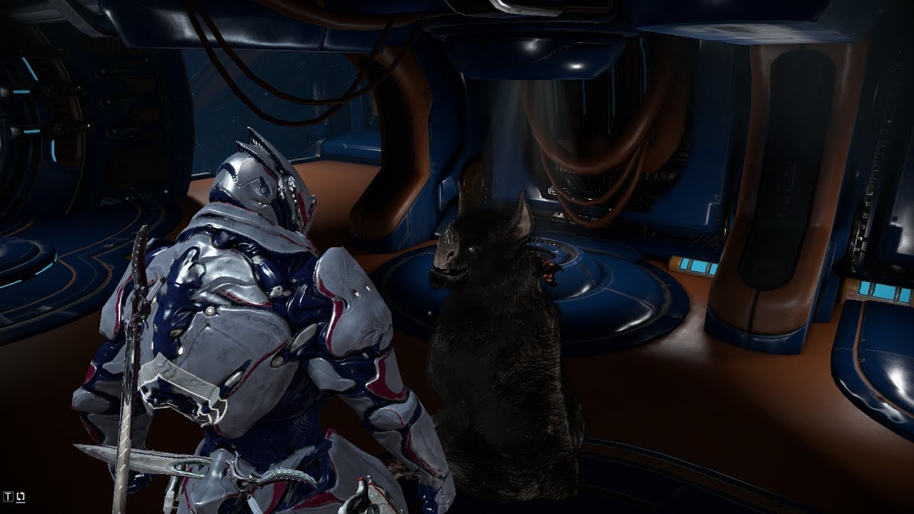 warframe random things/meeting nev and her porn story. - YouTube