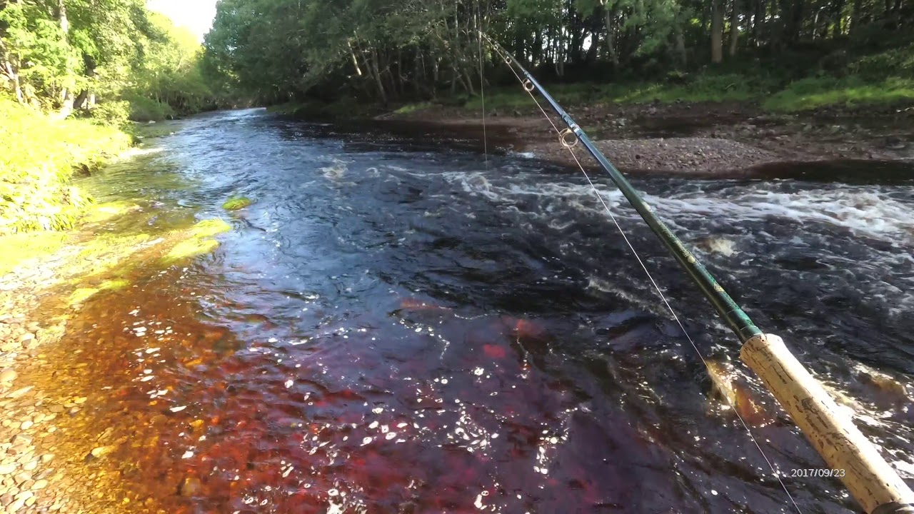 River Lossie Cloddach - YouTube