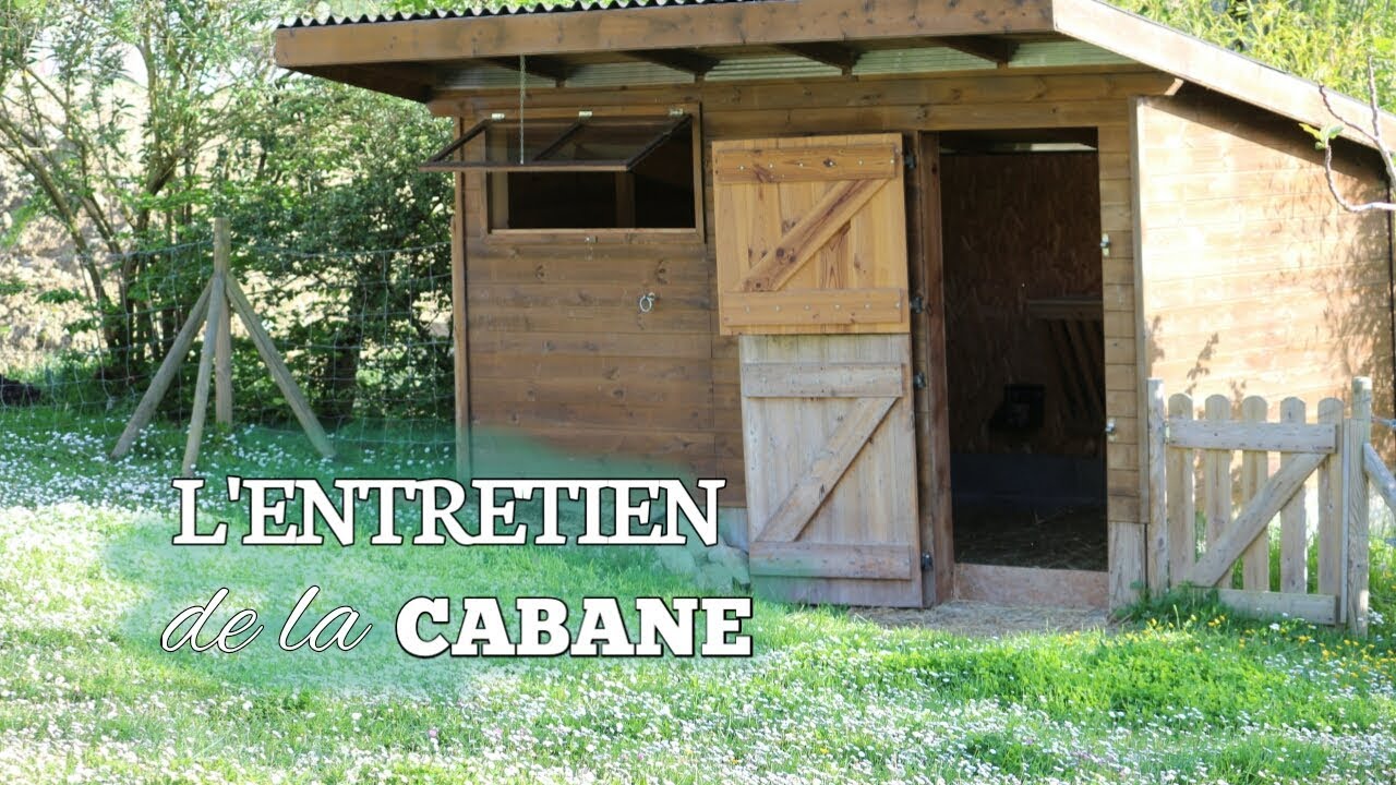 Entretenir la cabane de ses chèvres - YouTube