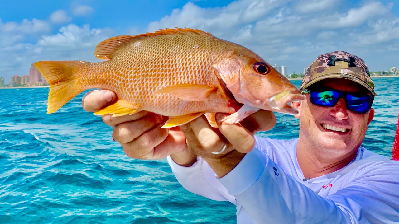 Dog SNAPPER Spearfishing! {Catch Clean Cook} Whole Snapper 2 ways - YouTube