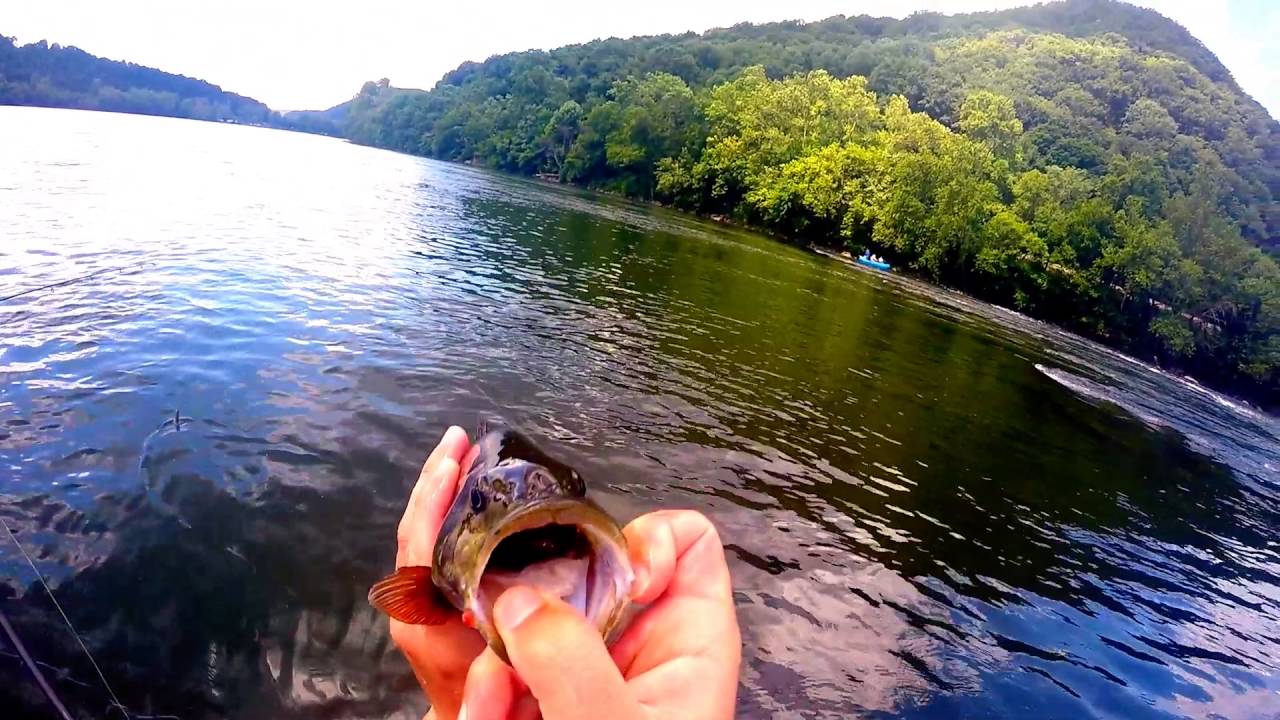 New River Smallmouth Bass Fishing! - YouTube