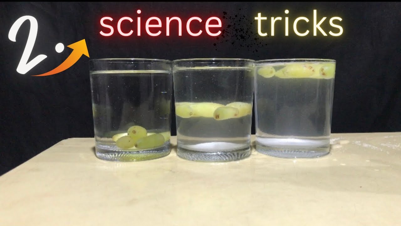 2 Amazing Water Tricks/2 minute science Experiment/EXCITED EXPERIMENT ...