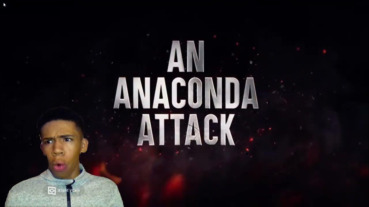 How To Survive An Anaconda Attack Reaction - YouTube