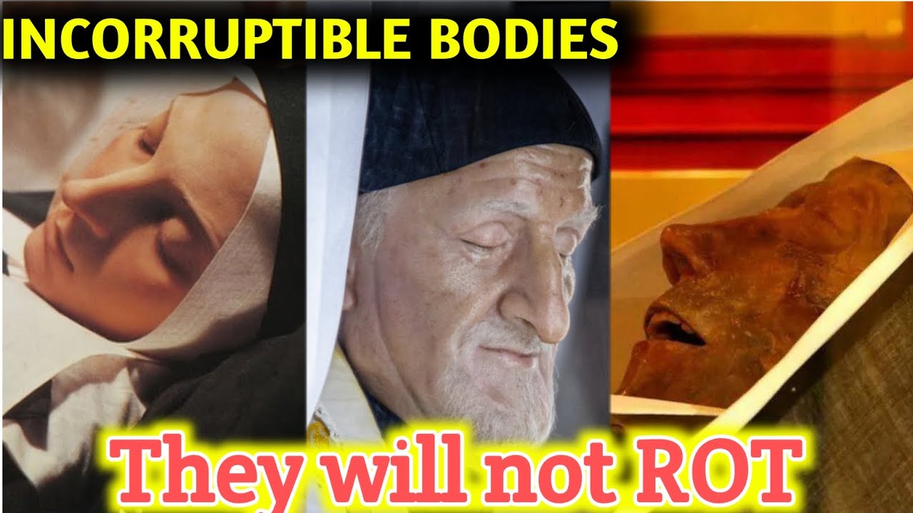 Meet 6 incredible and incorruptibles bodies that will never ROT | many ...