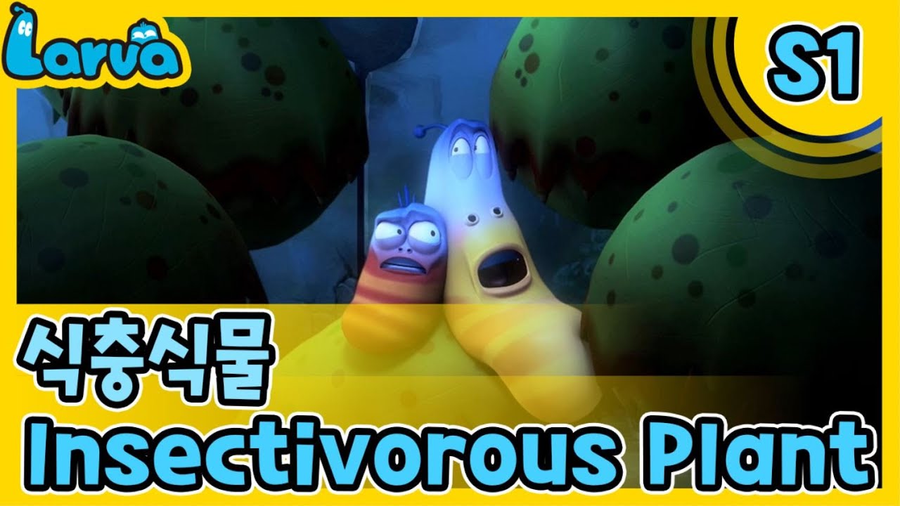 LARVA S01 | 라바 시즌 1 | Episode | 008_식충식물1(Insectivorous Plant) | 케이블 TV ...