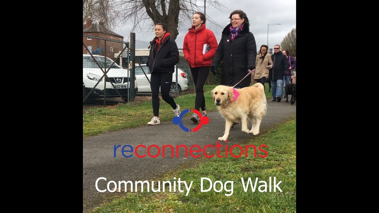 Reconnections' Community Dog Walk - YouTube