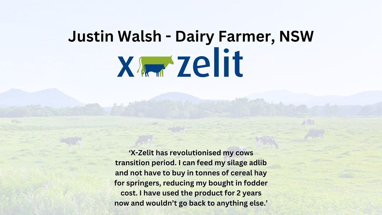 Justin Walsh X Zelit testimonial - YouTube