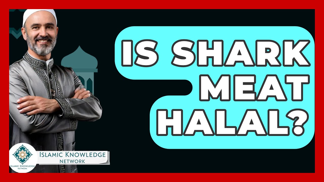 Is Shark Meat Halal? - Islamic Knowledge Network - YouTube