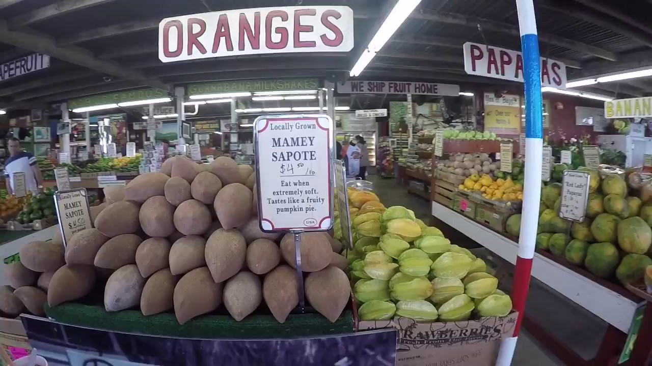 DU LICH VUON SABOCHE FLORIDA - YouTube