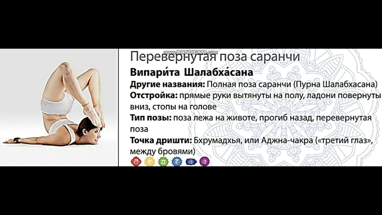Inverted Locust Pose - YouTube