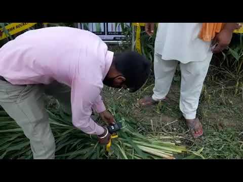 BMR Rocket in Hoshiarpur - YouTube