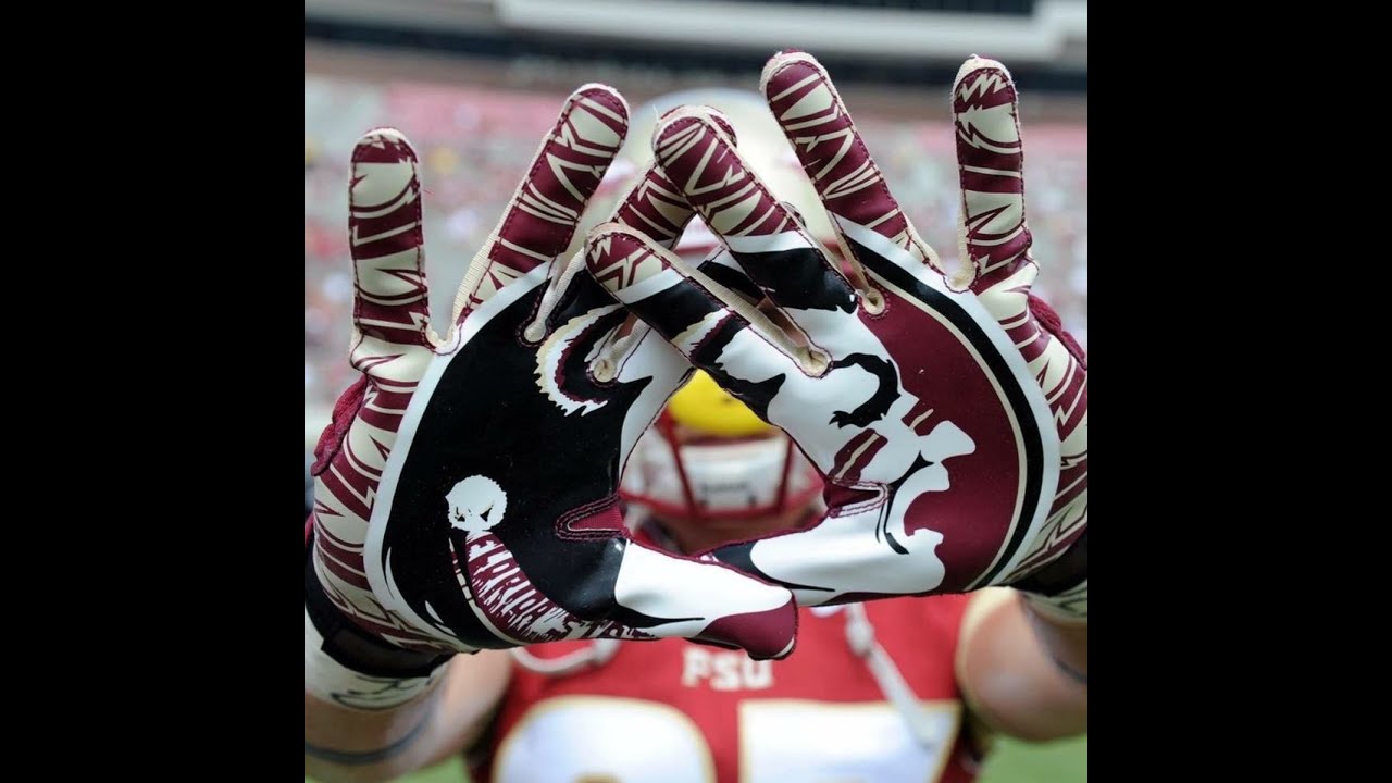 nolenationn843 Week 2 CFB FSU VS Charleston Southern - YouTube