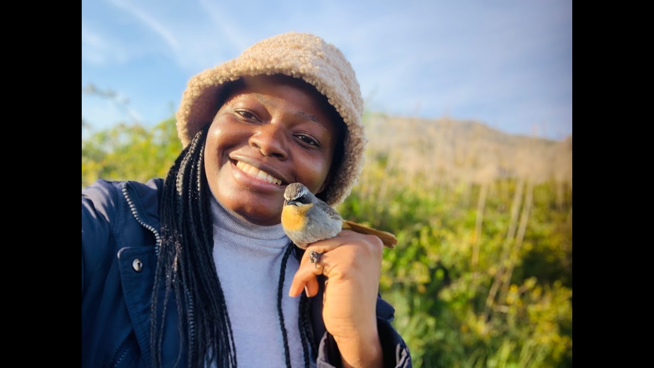 BIRD RINGING: STEP BY STEP . A basic guide for taking bird data. - YouTube