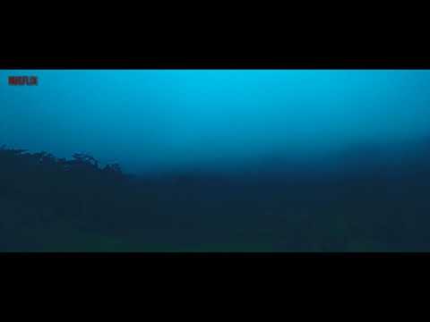 Panen padi secara tradisional masyarakat pedalaman // Setelah terbit matahari bag 2