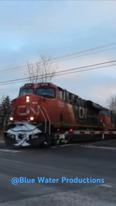 CN M383 Passing Range Rd. In Port Huron, MI (12-2-2024) - YouTube