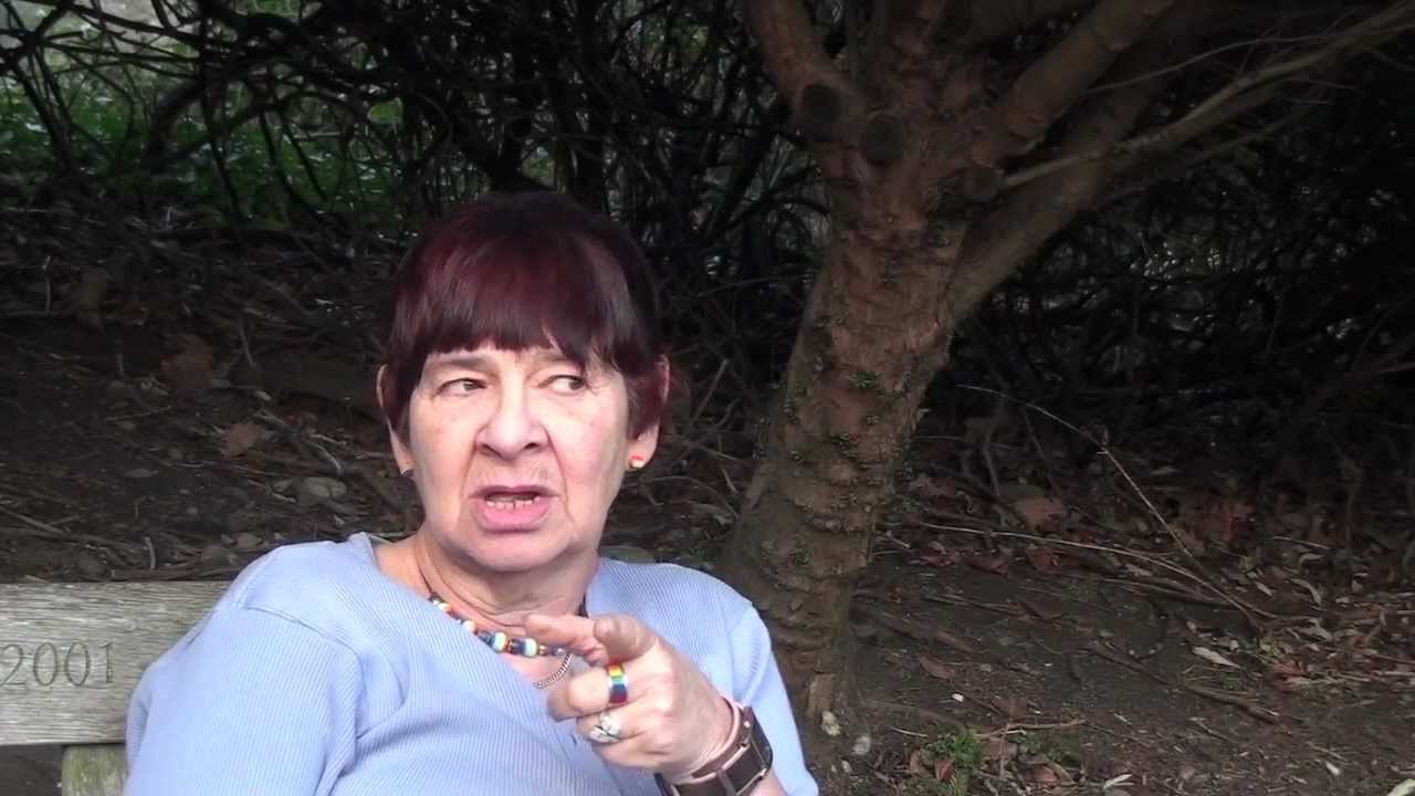 Almost Destroyed YouTube almost-destroyed-youtube