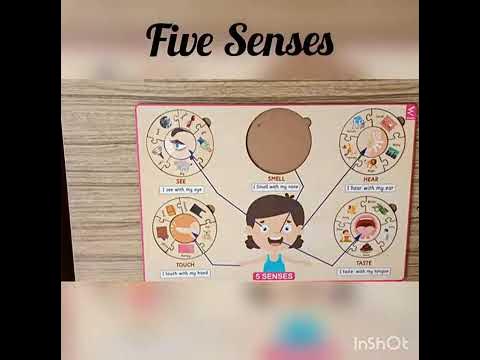 5 senses puzzle board - YouTube
