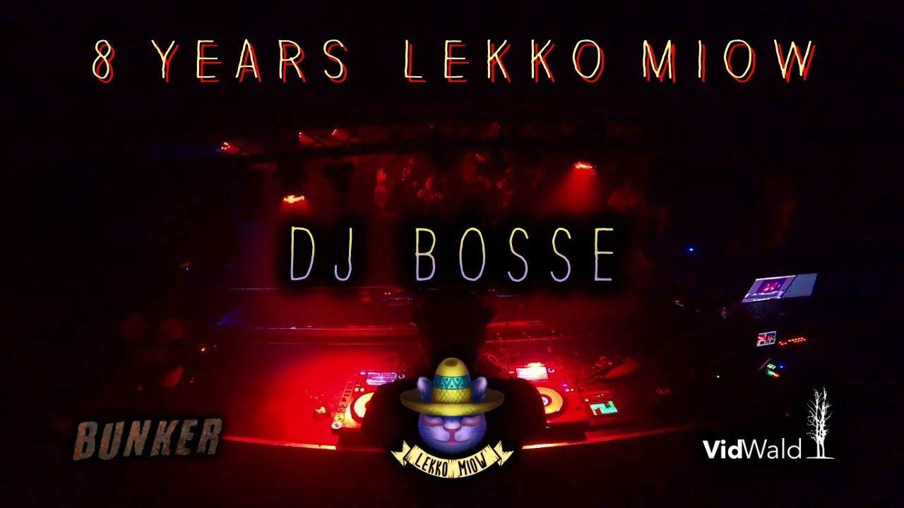 8 Years LeKkO MiOw / DJ Bosse // VidWald @ Bunker Greifswald - YouTube