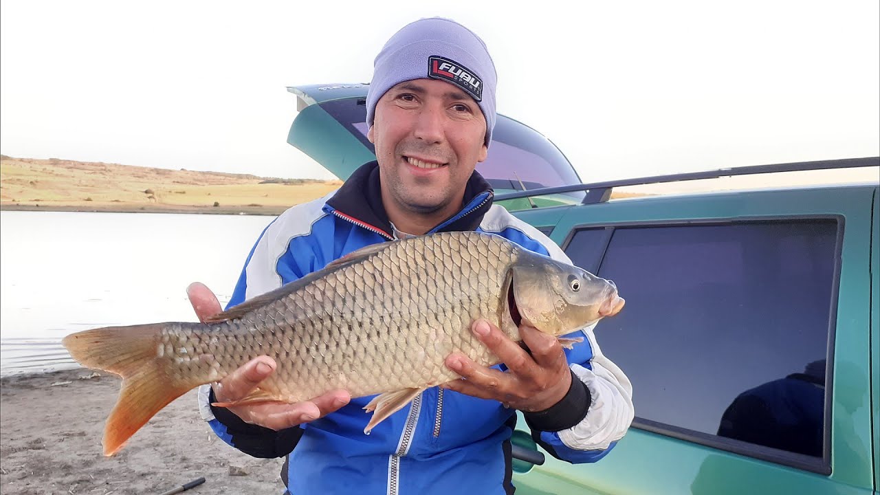 Pescuit 2020 la crap, video Nou de la peste! - YouTube