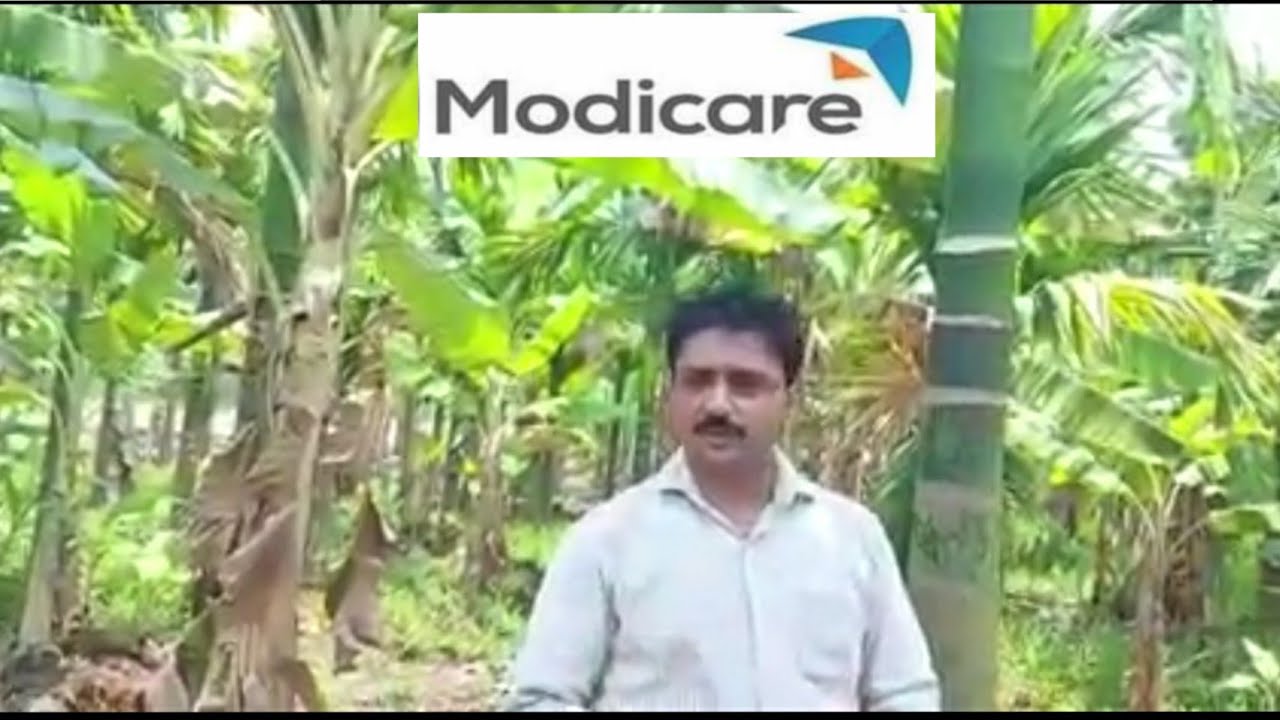the modicare agriculture products used for arecha plants - YouTube