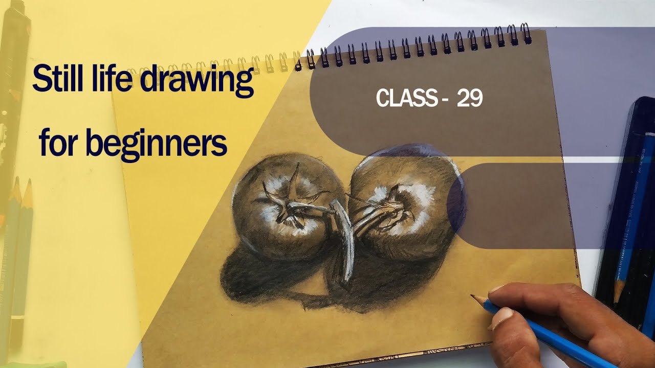 still life drawing for beginners | drawing still life - how to draw ...
