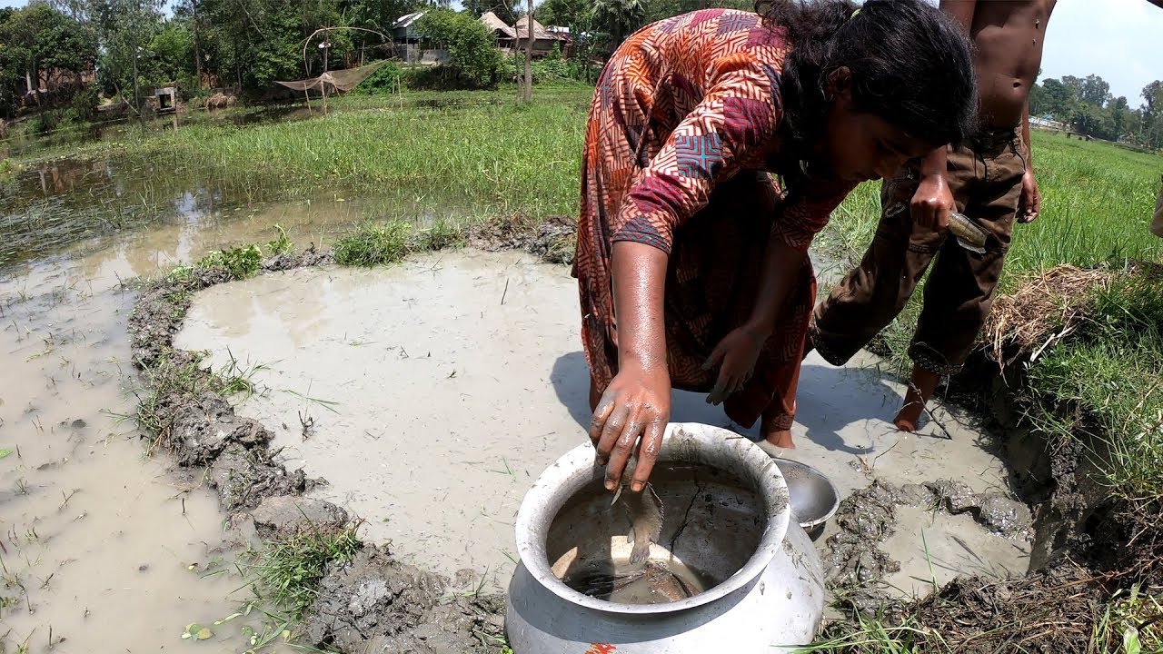 Traditional technique to catch fish | Catching fish by hand - YouTube