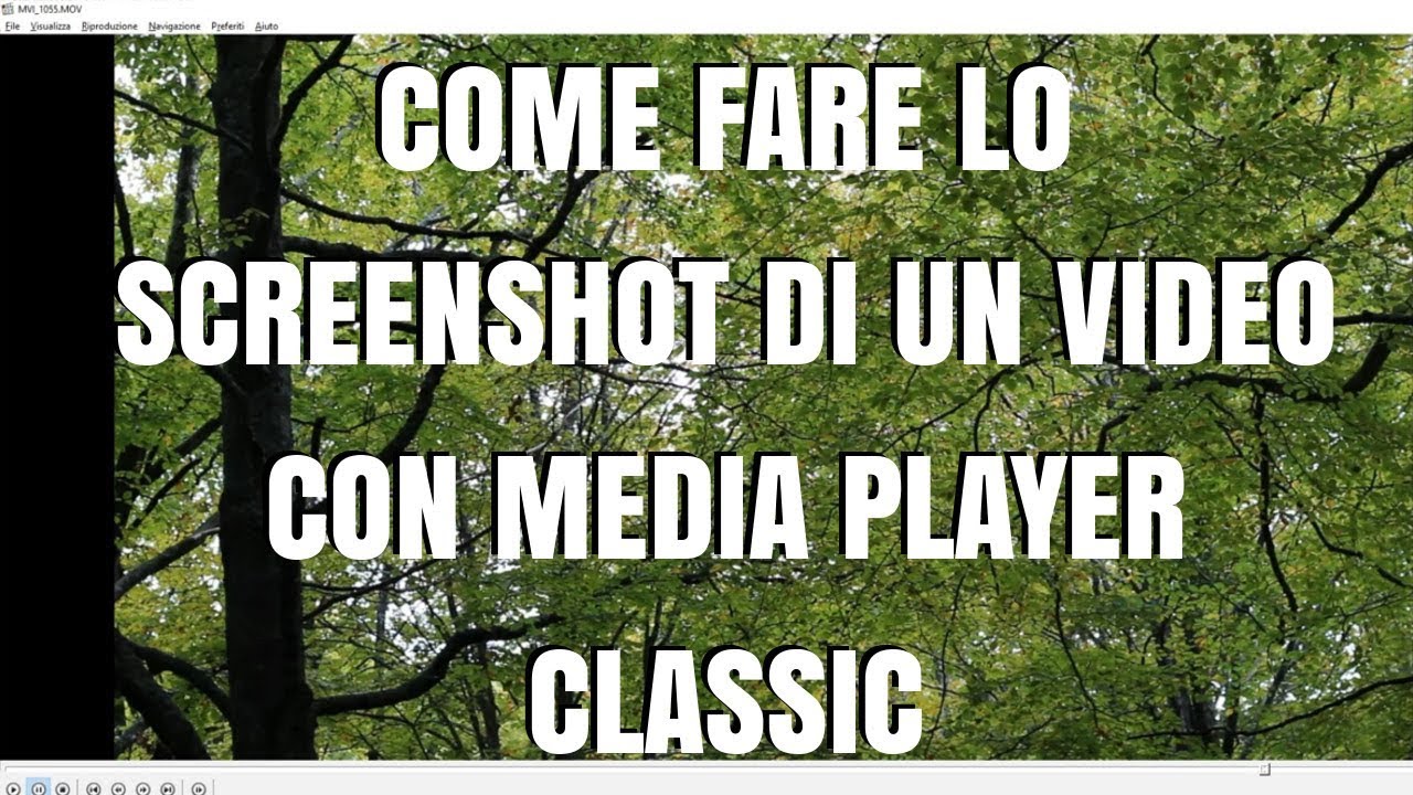 Come fare uno screenshot di un video con Media Player Classic - YouTube